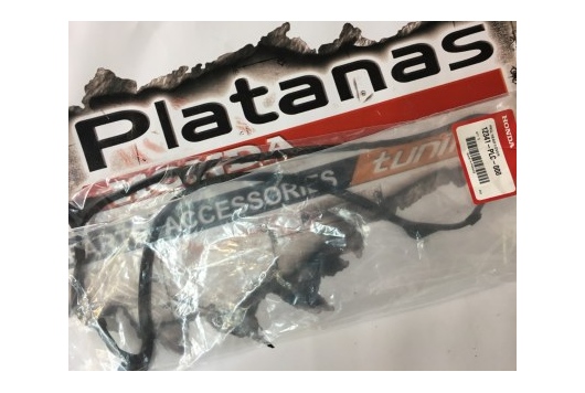 ΦΛΑΤΖΑ ΨΕΥΤΟΚΑΠΑΚΟΥ CIVIC 01-05 - Platanas.gr